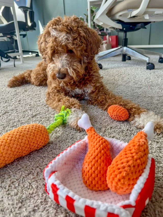 Is There a Difference Between Heeling and Loose Leash Walking? – Pawty