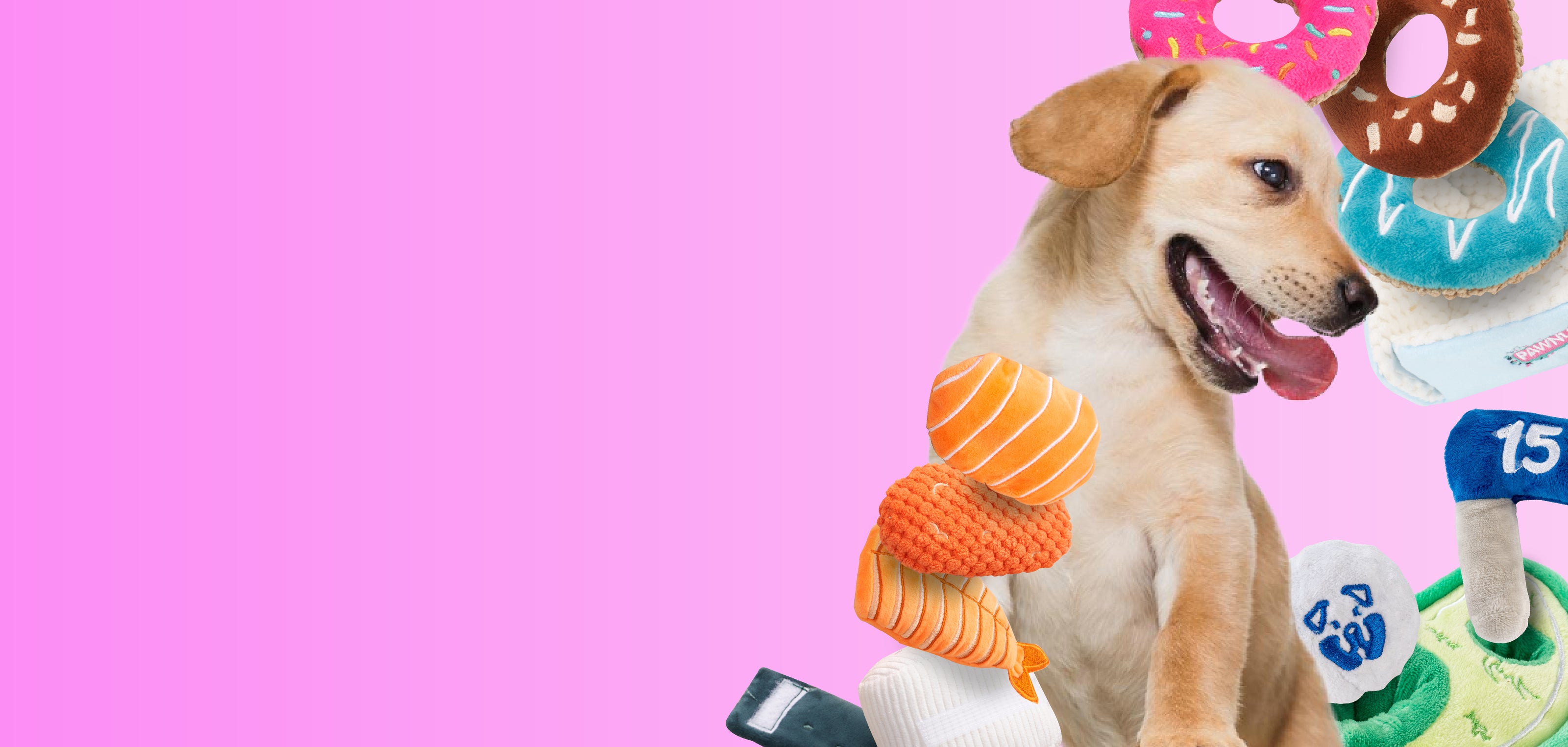 PAWTY Toys | Your Trendy Pets Favorite Toy Brand – Pawty